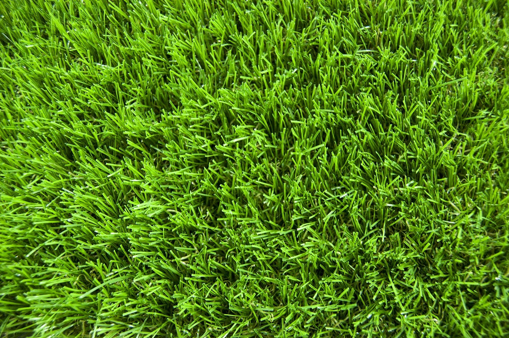 Artificial Turf Melting: What Is Its Melting Point?– Turf Guard Window Film