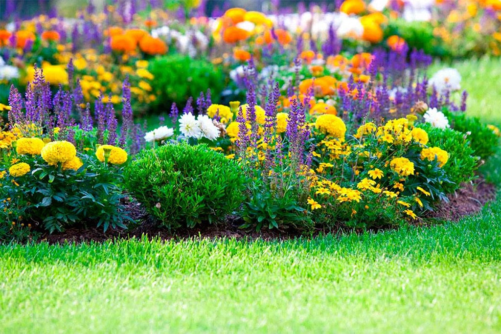 Is Your Artificial Turf Melting? Here Are Ways to Stop This Damage ...