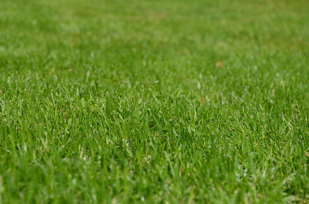 Problems of Artificial Turf Melting and How to Solve Them | Turf Guard ...