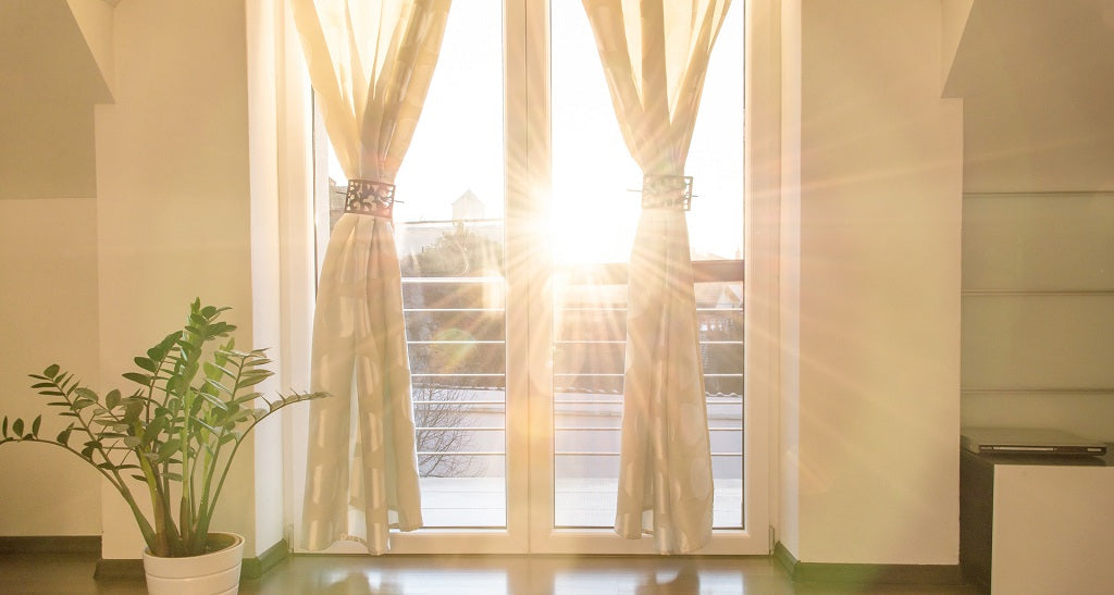 Ways to Reduce and Prevent Window Reflection Problems | Turf Guard ...