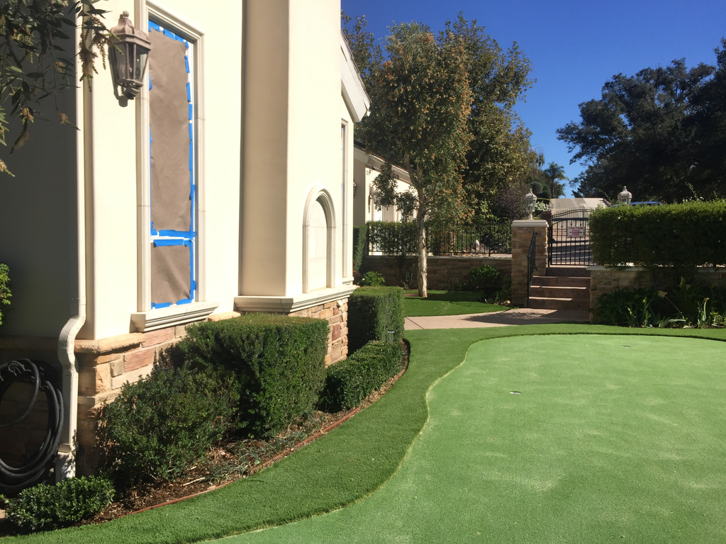 How Window Glare Can Burn Your Grass and Ruin Your Yard | Turf Guard ...