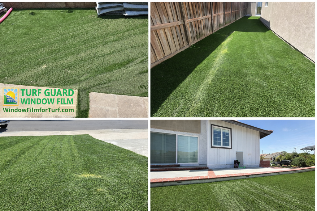 Does Turf Burn in Texas? What Homeowners Need to Know– Turf Guard ...