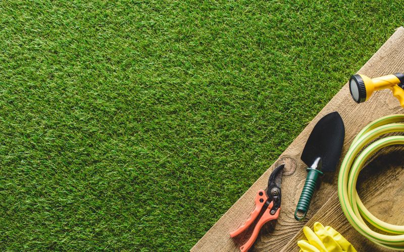 A Quick Guide To Protecting Your Grass | Turf Guard Window Film