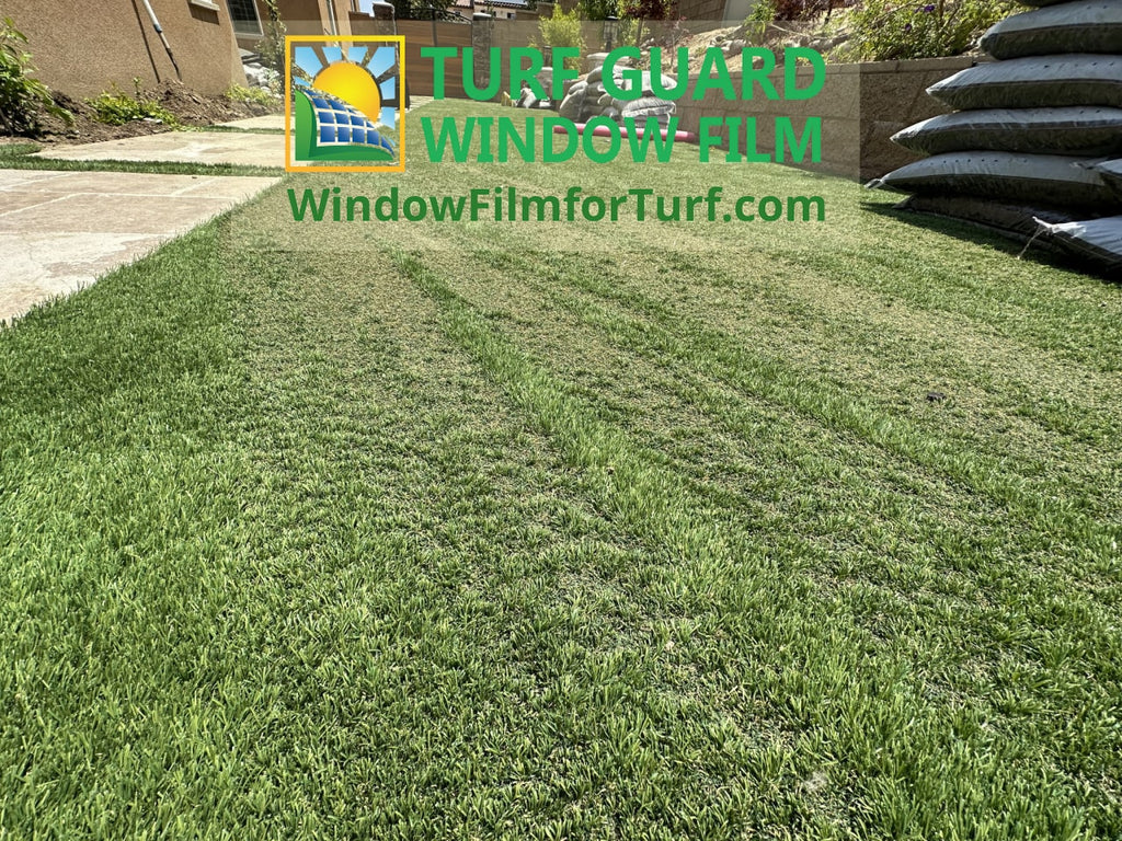 Can Low-E window glare start a fire? What homeowners report and how to ...