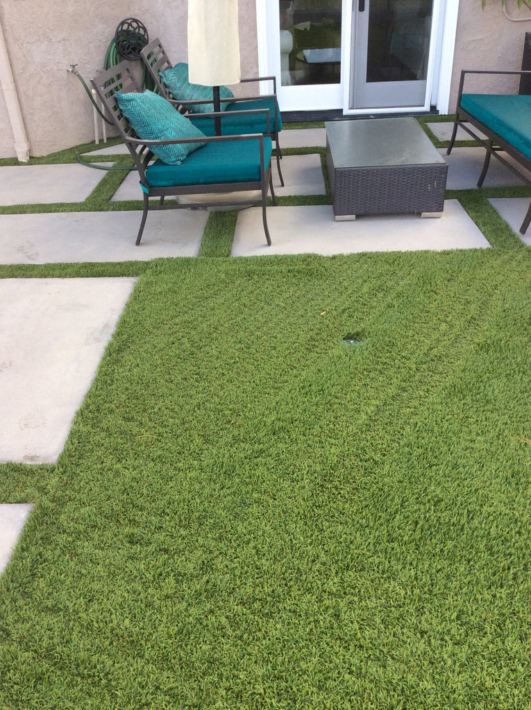 Your Ultimate Guide on How to Stop Window Reflection | Turf Guard ...