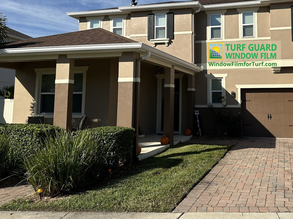 Tips to Protect Artificial Grass Before It Melts: What Every Homeowner ...